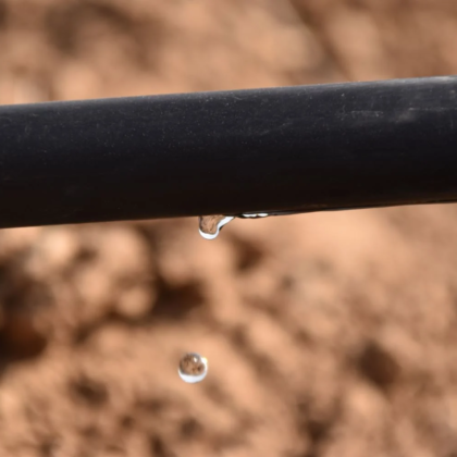 Netafim 19mm White Low Density Poly Pipe(LDPE) pre-punched at 150mm ...